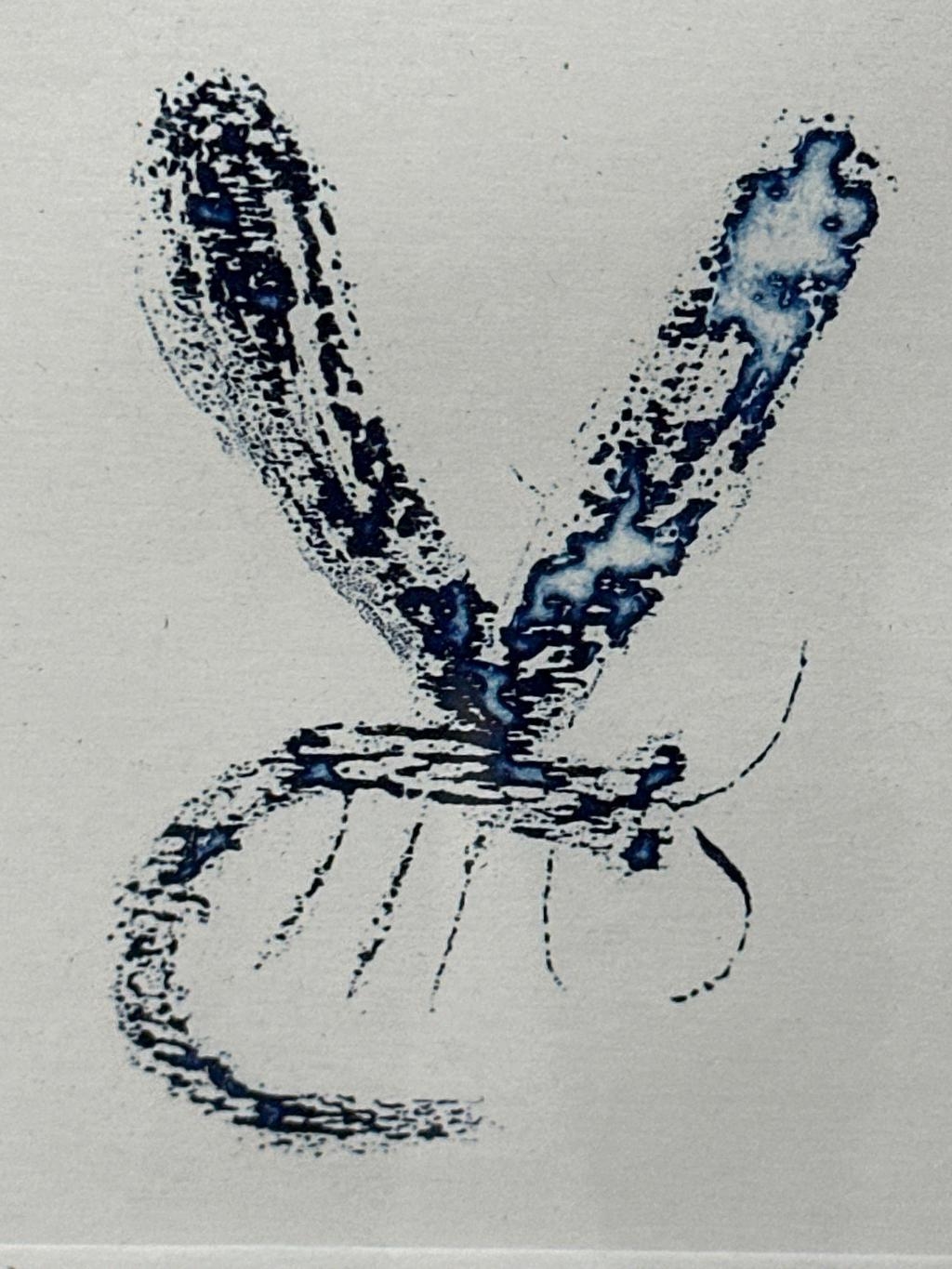 Kevin Charles Hart | DRAGONFLY | MutualArt