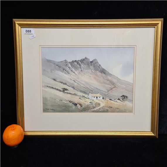 David Bellamy | Untitled | MutualArt