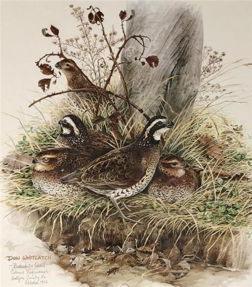 Donald Jean Whitlock | 1 Artworks | MutualArt