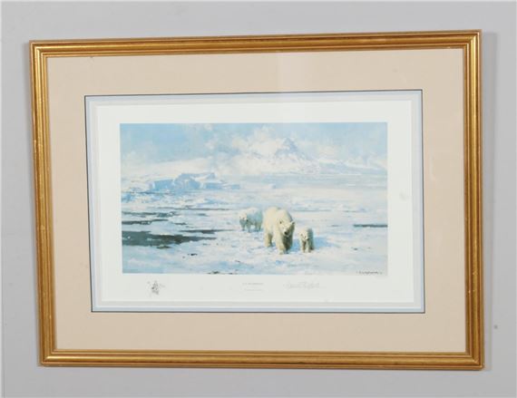 David Shepherd | Ice Wilderness | MutualArt