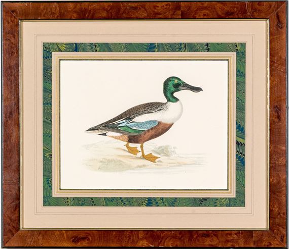 Beverly Morris | Shoveler (1855) | MutualArt