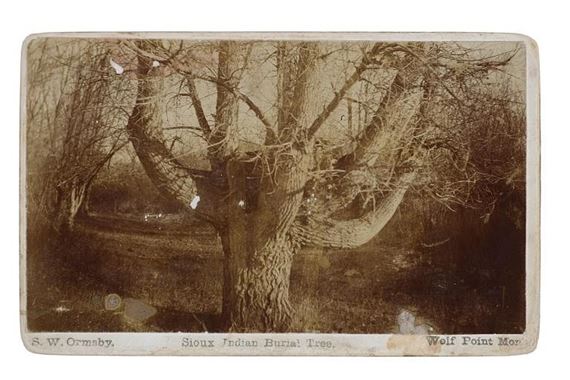 S.w. Ormsby | Sioux Indian Burial Tree (Circa 1897) | MutualArt