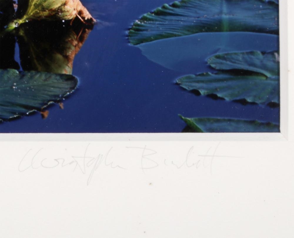 Christopher Burkett | Late Summer Pond (1992) | MutualArt