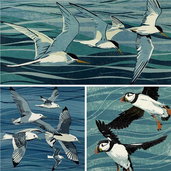 Ann Lewis | Terns over Malltraeth | MutualArt