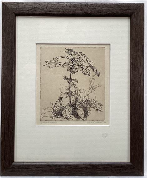 John Scorror O'Connor | Young Sycamore (34) | MutualArt