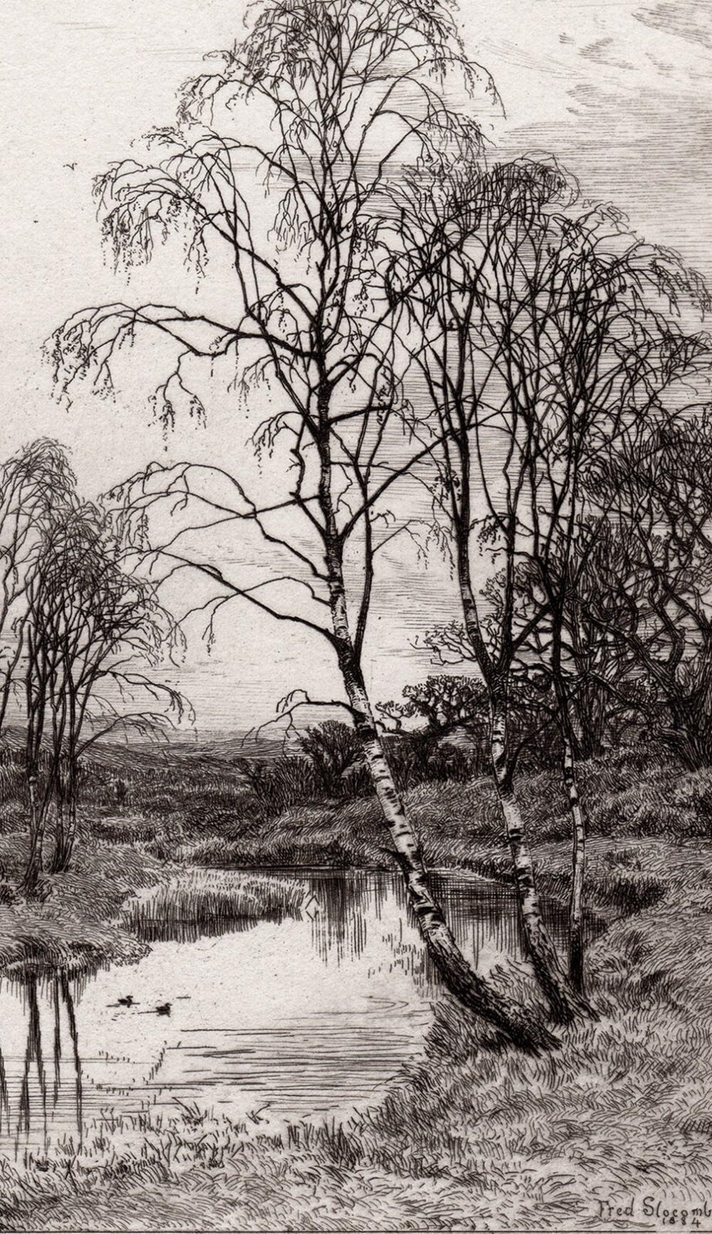 Frederick Alfred Slocombe | Birch Trees (1885) | MutualArt