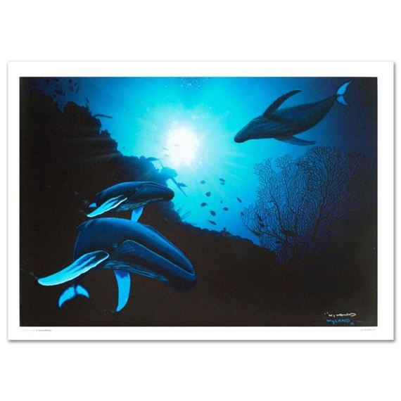 Robert Wyland | Whale Vision | MutualArt