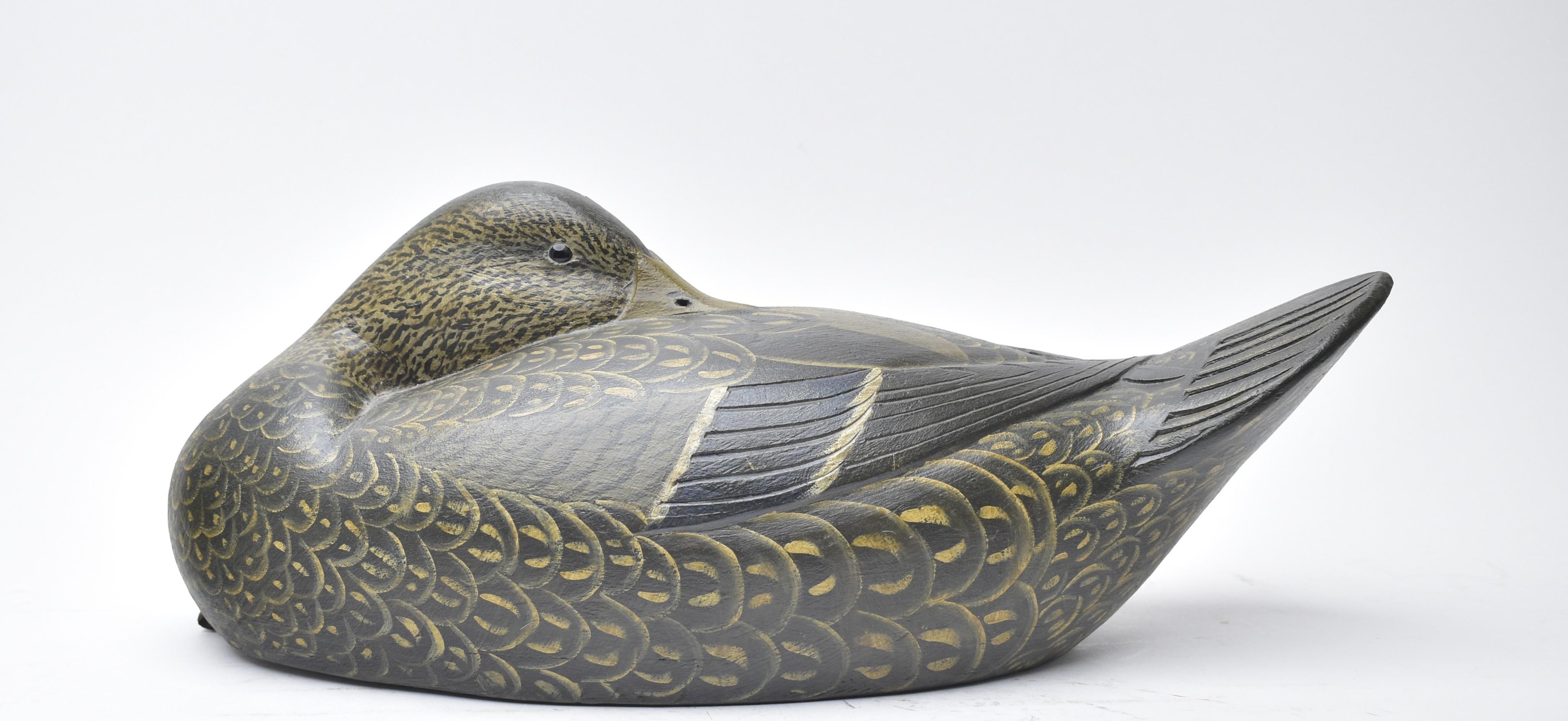 Reggie Birch | Black duck in a sleeping pose | MutualArt