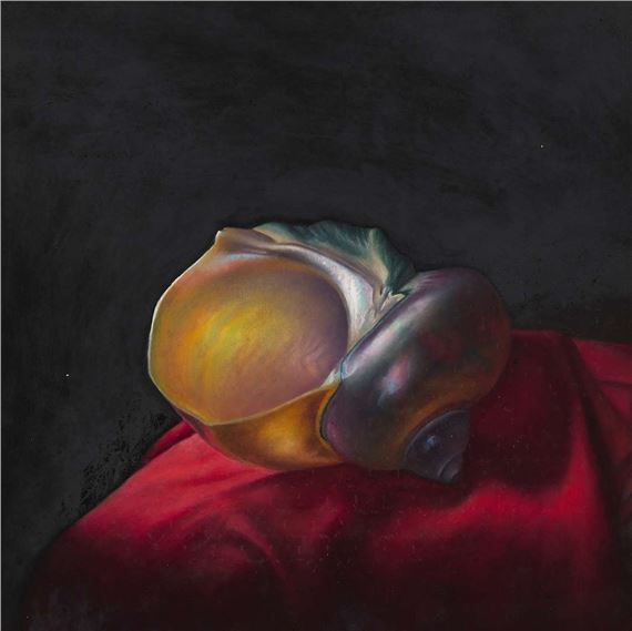 David Ross Warrillow | NAUTILUS SHELL | MutualArt