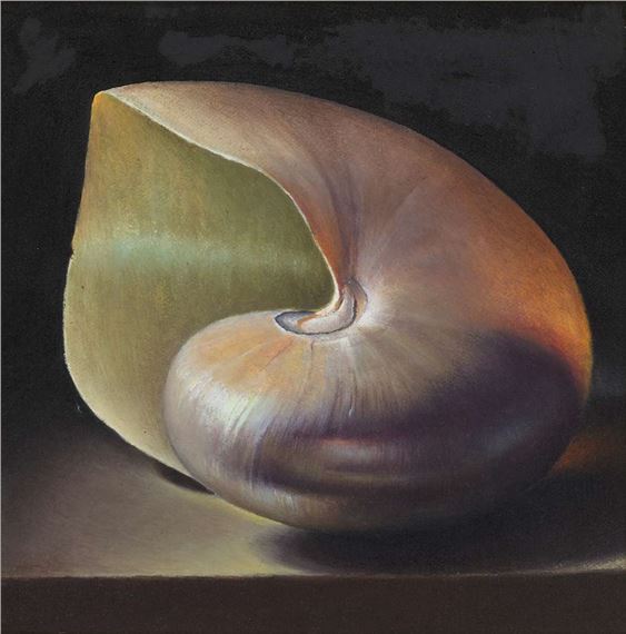David Ross Warrillow | TURBO SHELL | MutualArt