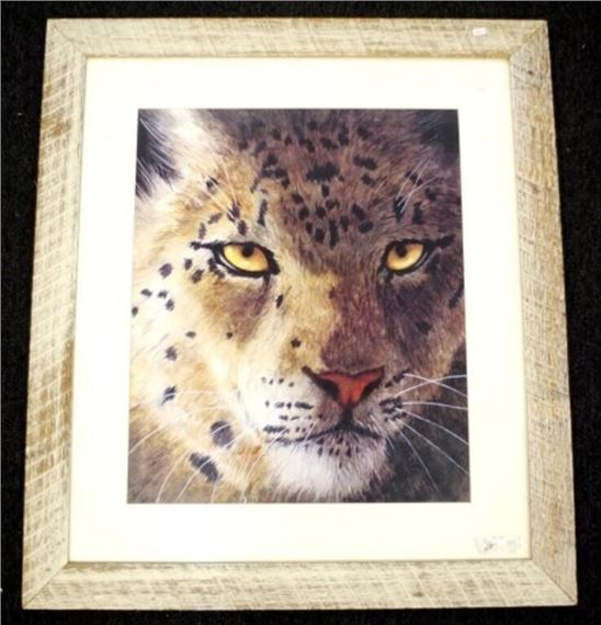 Patricia Hunter | 1 Artworks | MutualArt