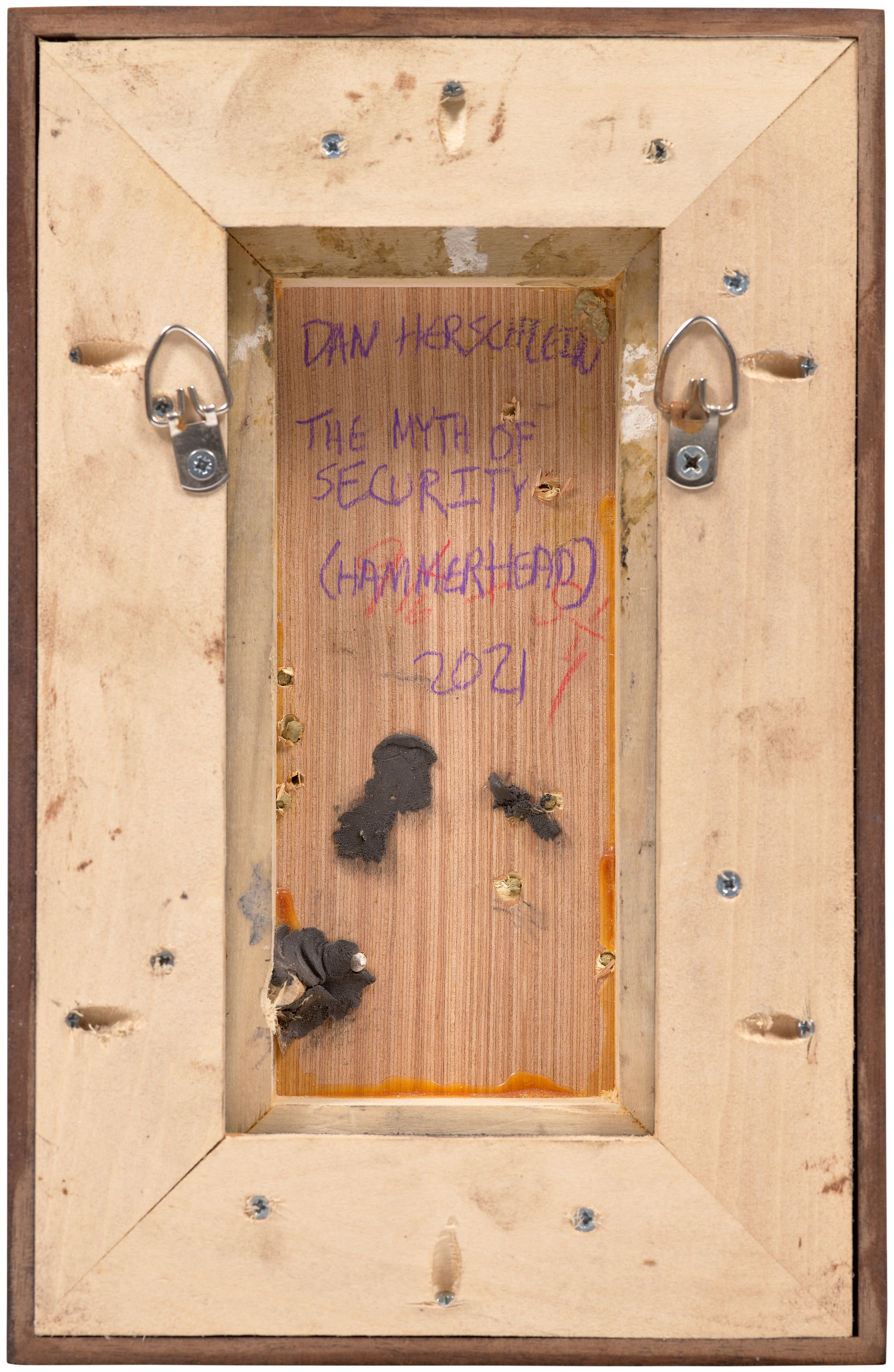 Dan Herschlein | The Myth of Security (Hammerhead | MutualArt