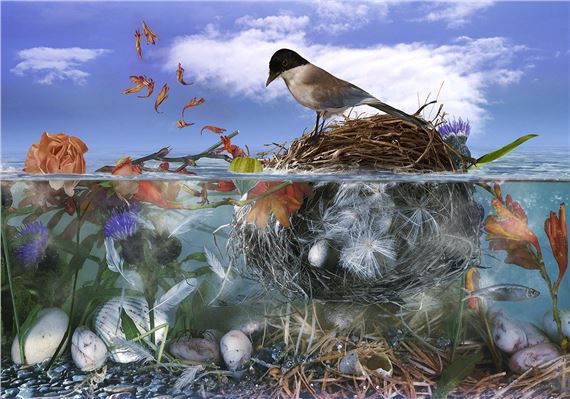 Christine Simpson | Beeootiful Place | MutualArt