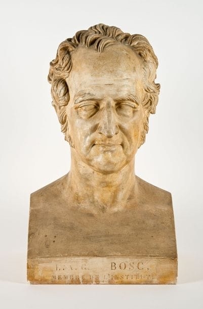 Pierre Jean David d'Angers | Bust of Louis Auguste Guillaume BOSC (1830 ...