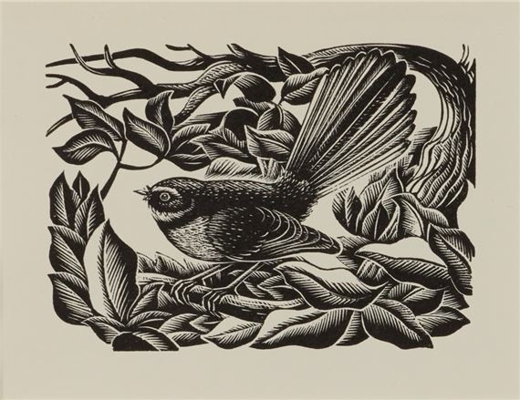 E. Mervyn Taylor | Fantail (1957) | MutualArt