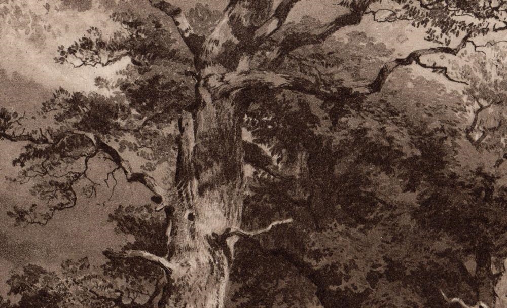 Henry Dawson | Landscape in the Dukeries (1890) | MutualArt