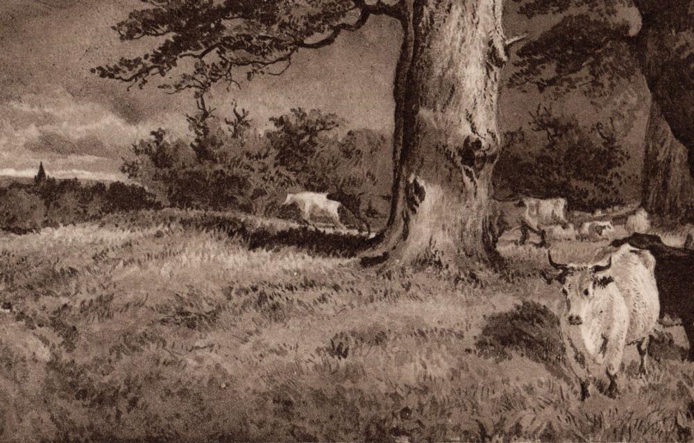 Henry Dawson | Landscape in the Dukeries (1890) | MutualArt