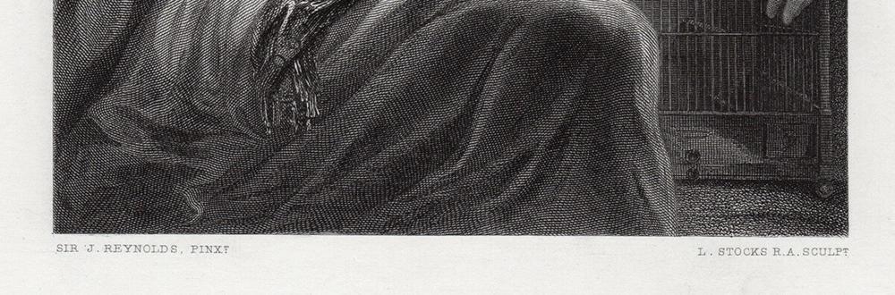 Sir Joshua Reynolds | The Robin (1872) | MutualArt