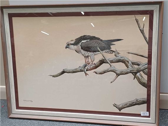 Alan M. Hunt | Osprey with caught fish on a branch (1974) | Compare ...