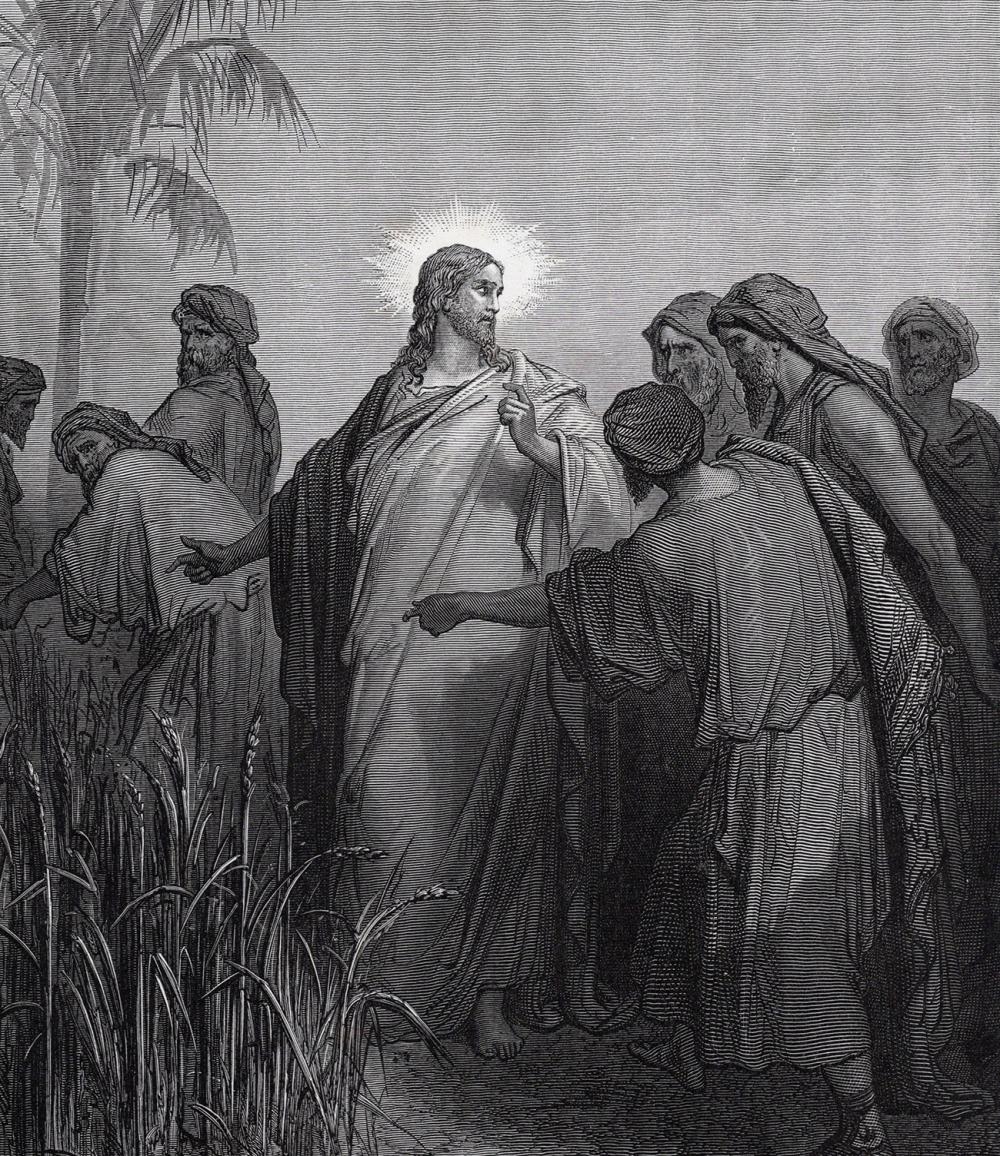Gustave Doré | Jesus In the Corn-field (1880) | MutualArt