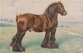 Frank Babbage | SHIRE HORSE | MutualArt