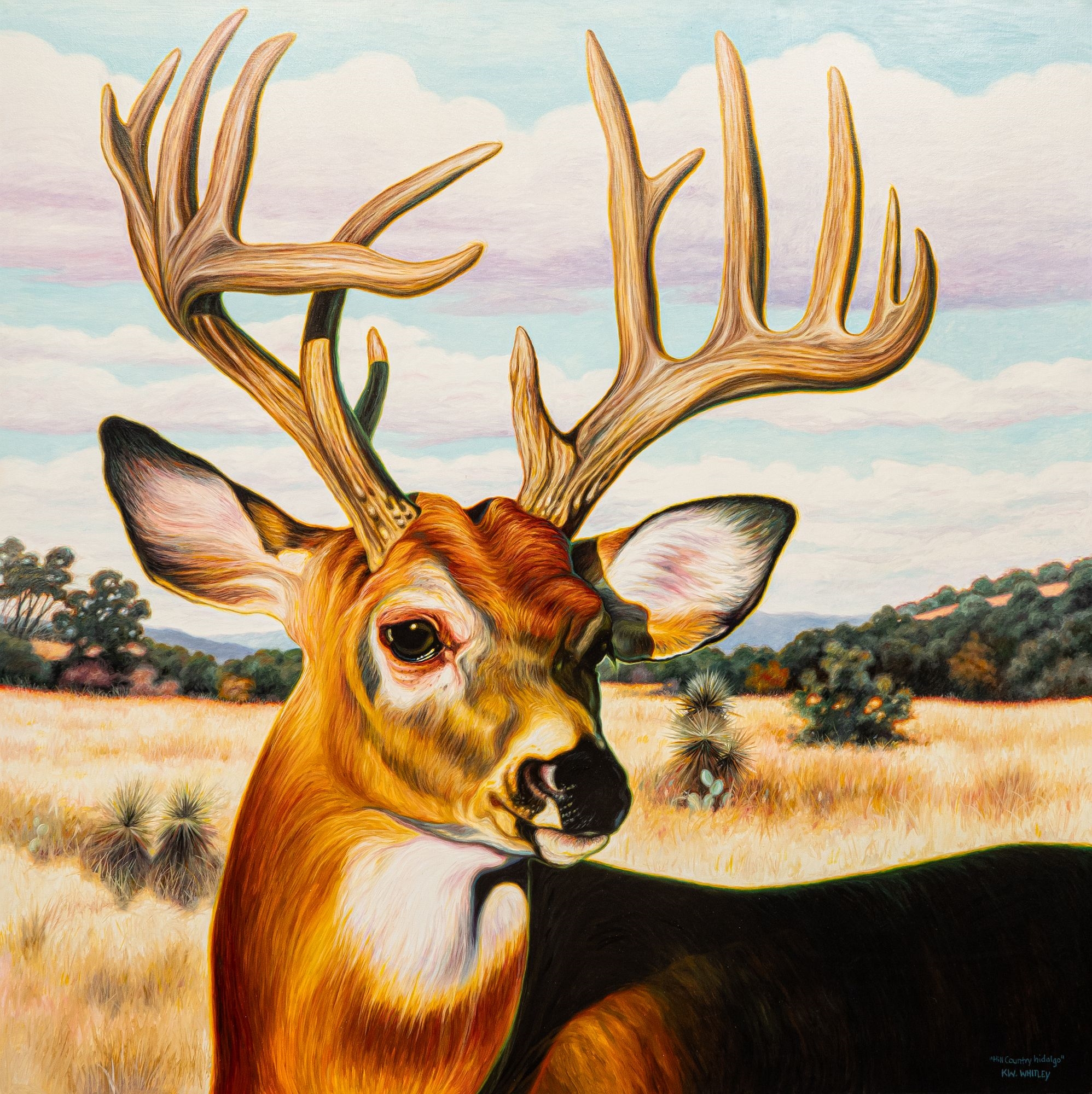 Kathy White Whitley | Hill Country Hidalgo (21) | MutualArt