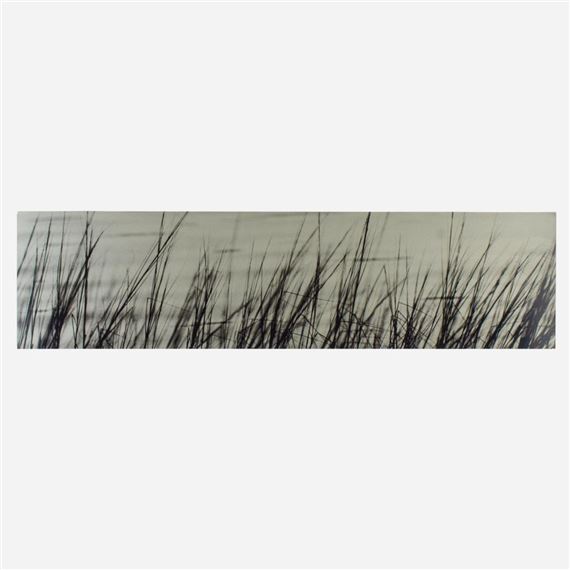 Ray Charles White | Deep Creek Grasses (1999) | MutualArt