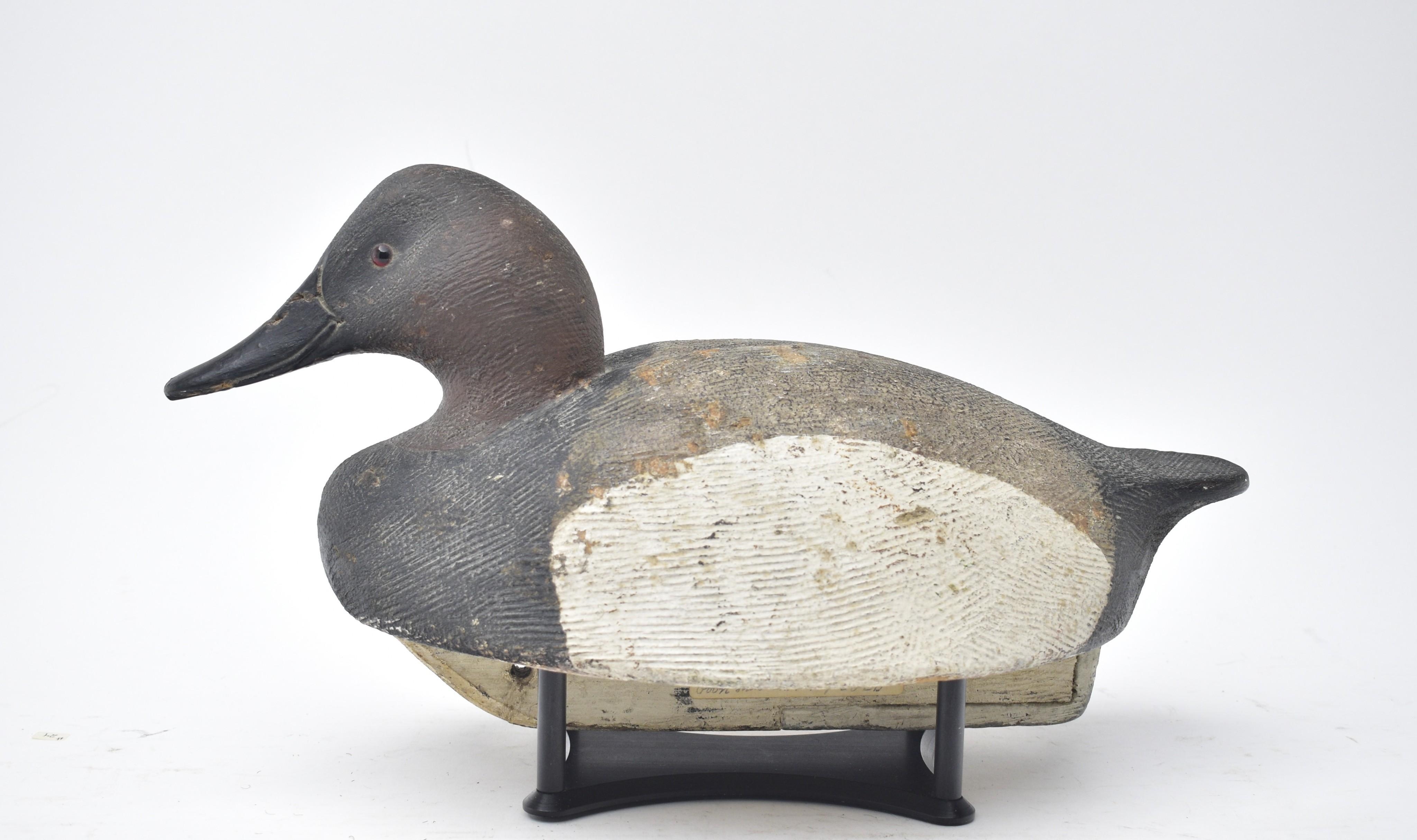 Ralph Reghi | Canvasback | MutualArt