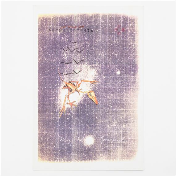 Panamarenko | Zelflerende vogel (Archaeopterix (1991) | MutualArt