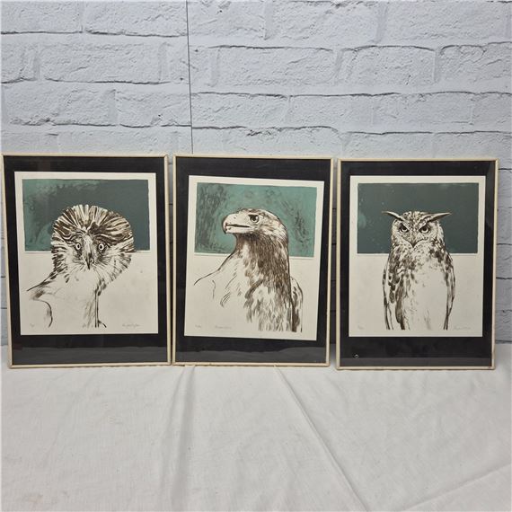 Bryan Organ | Three Limited Edition Signed Birds of Prey Lithographs ...