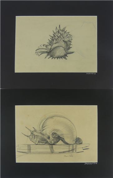 Paul Riba | 2pc PAUL RIBA SHELL PENCIL DRAWINGS ON PAPER | MutualArt