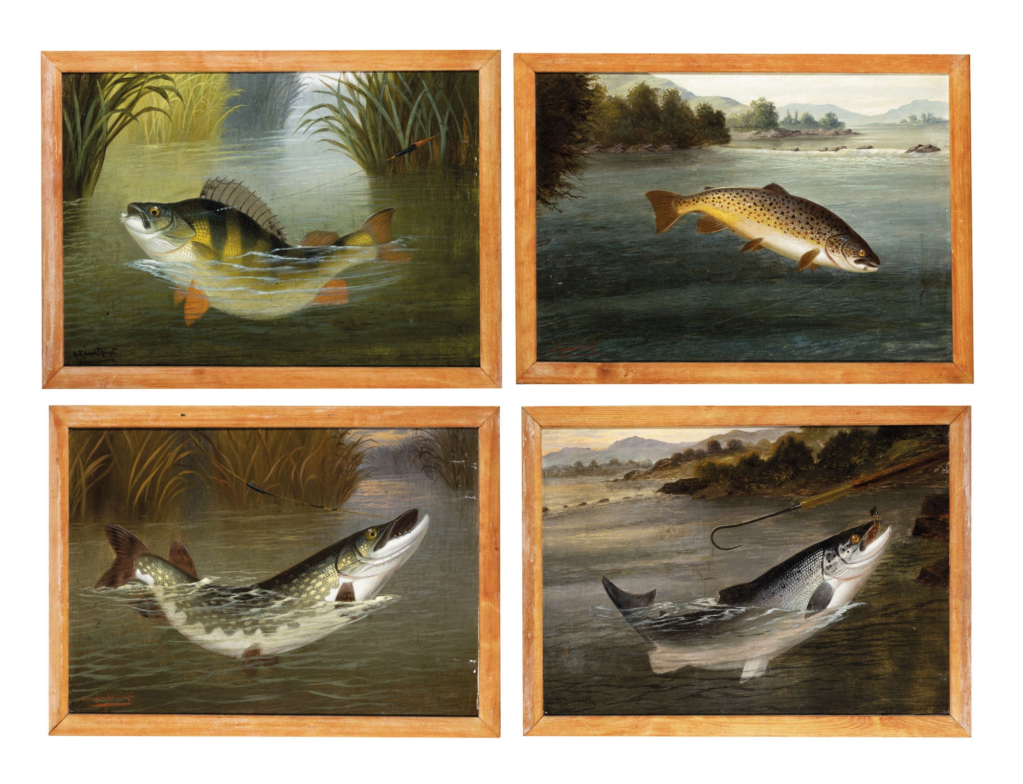 A. Roland Knight | A collection of four depictions of fish hooked on ...