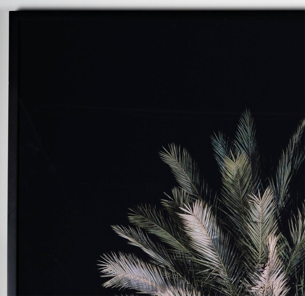 Tal Shochat | Tamar No. 3 (Date Palm) (2011) | MutualArt