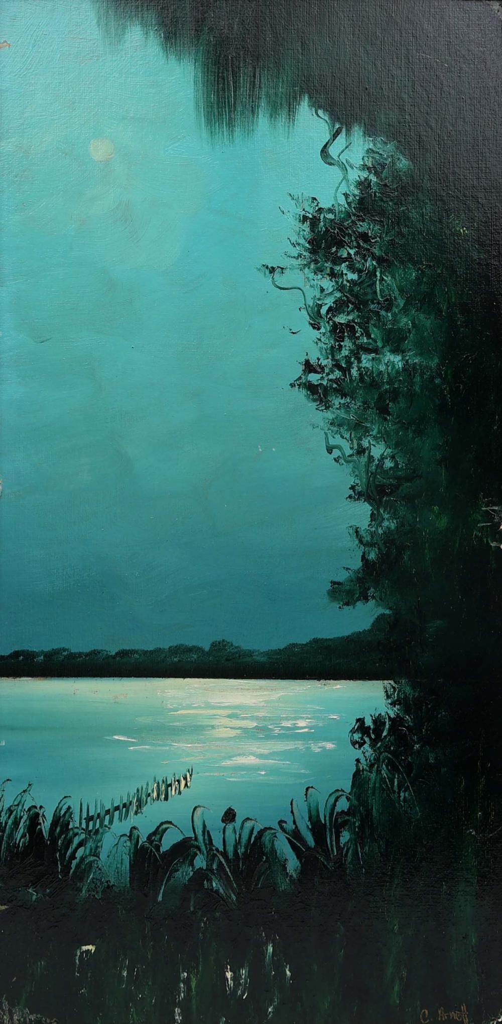 Curtis Arnett | FULL MOON BEAMS | MutualArt