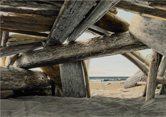 Richard Davis | The Shelter | MutualArt