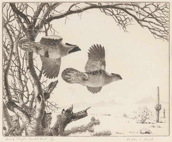 Walter E. Bohl | Quick Flight, Gambel Quail | MutualArt