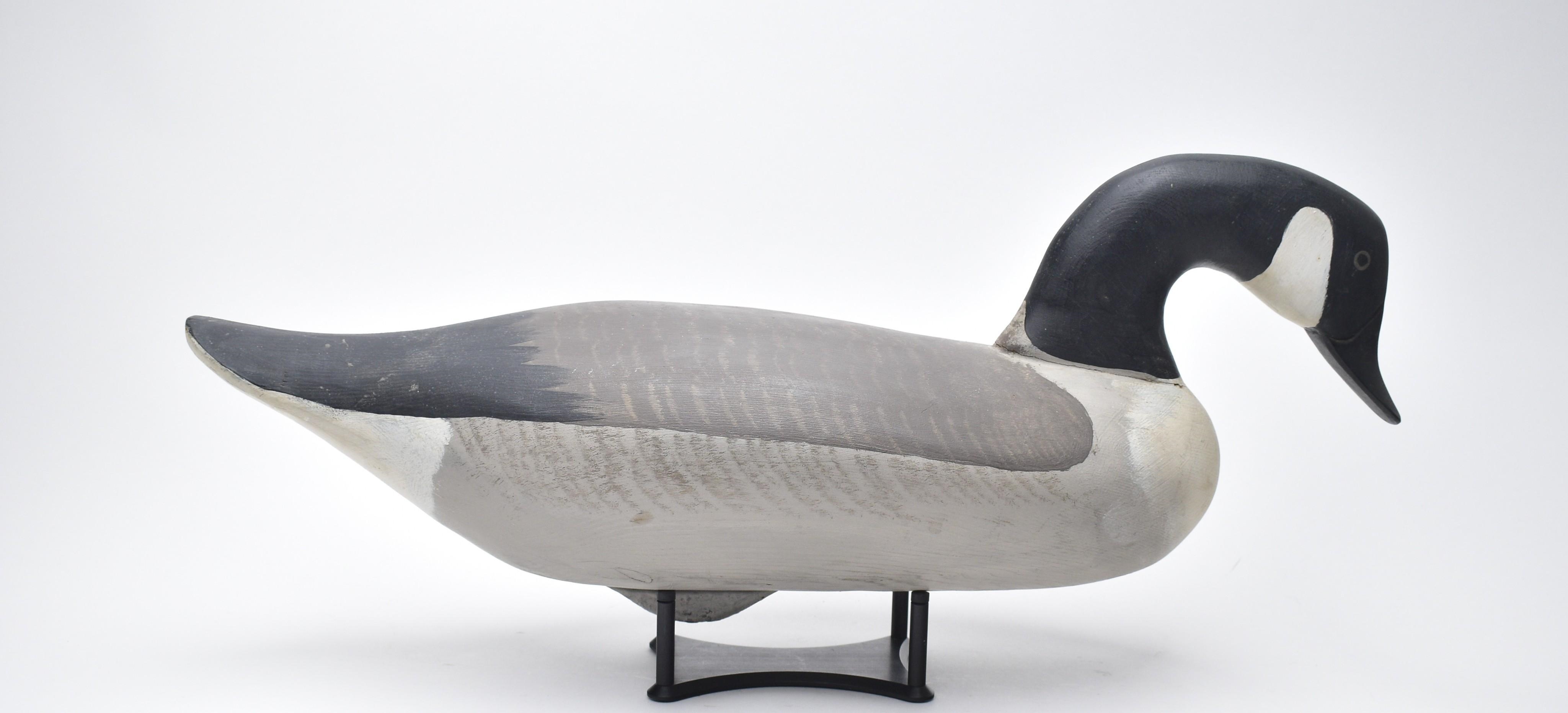J Evans Mckinney | Canada goose in a swimming pose | MutualArt