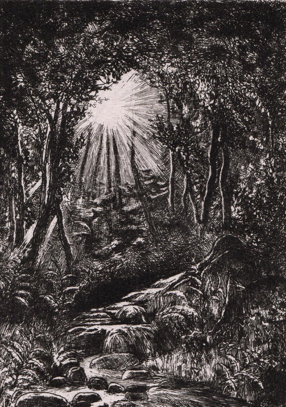 Philip Gilbert Hamerton | Rivulet in a Forest (1874) | MutualArt