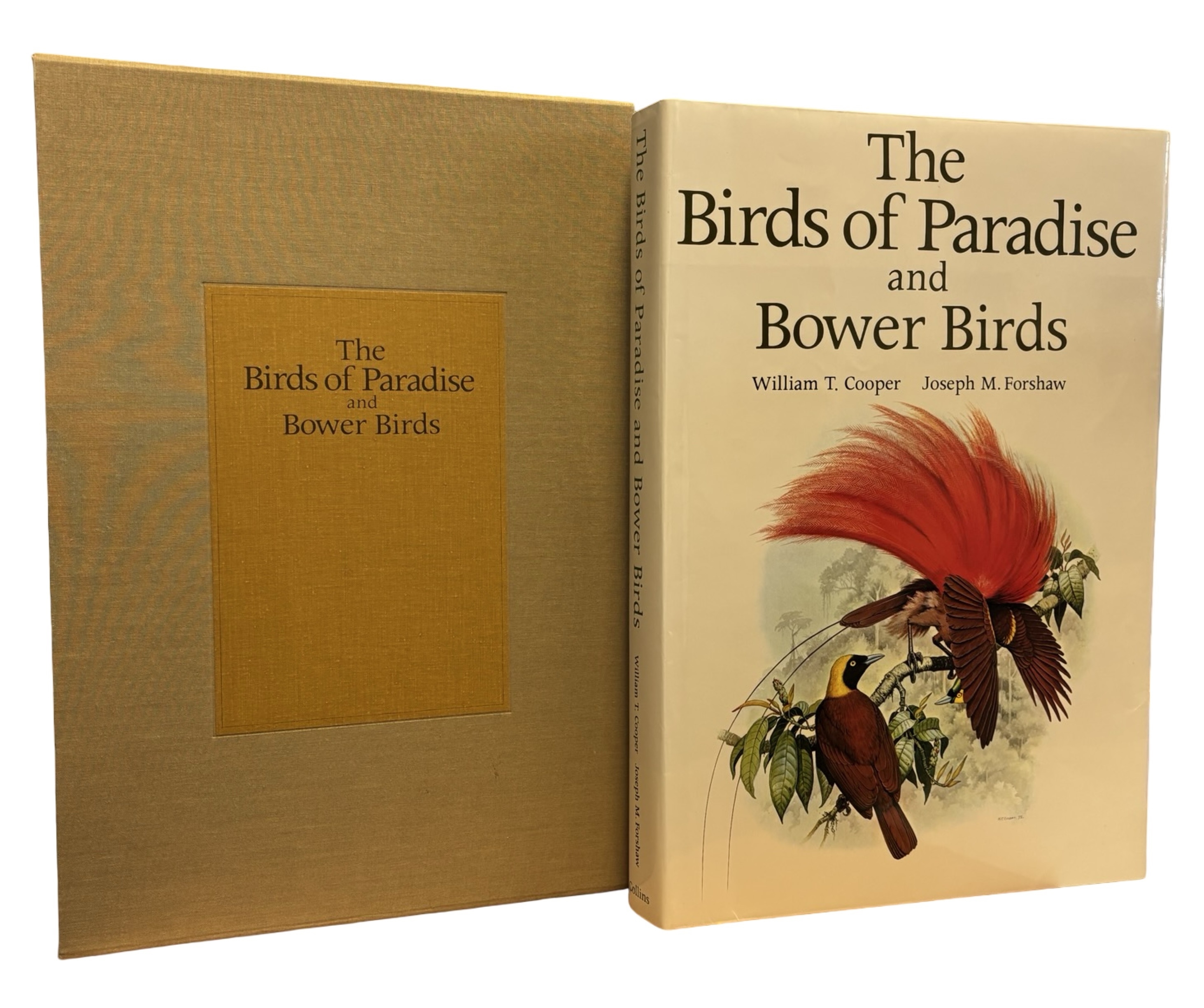 William T. Cooper | THE BIRDS OF PARADISE AND BOWER BIRDS | MutualArt