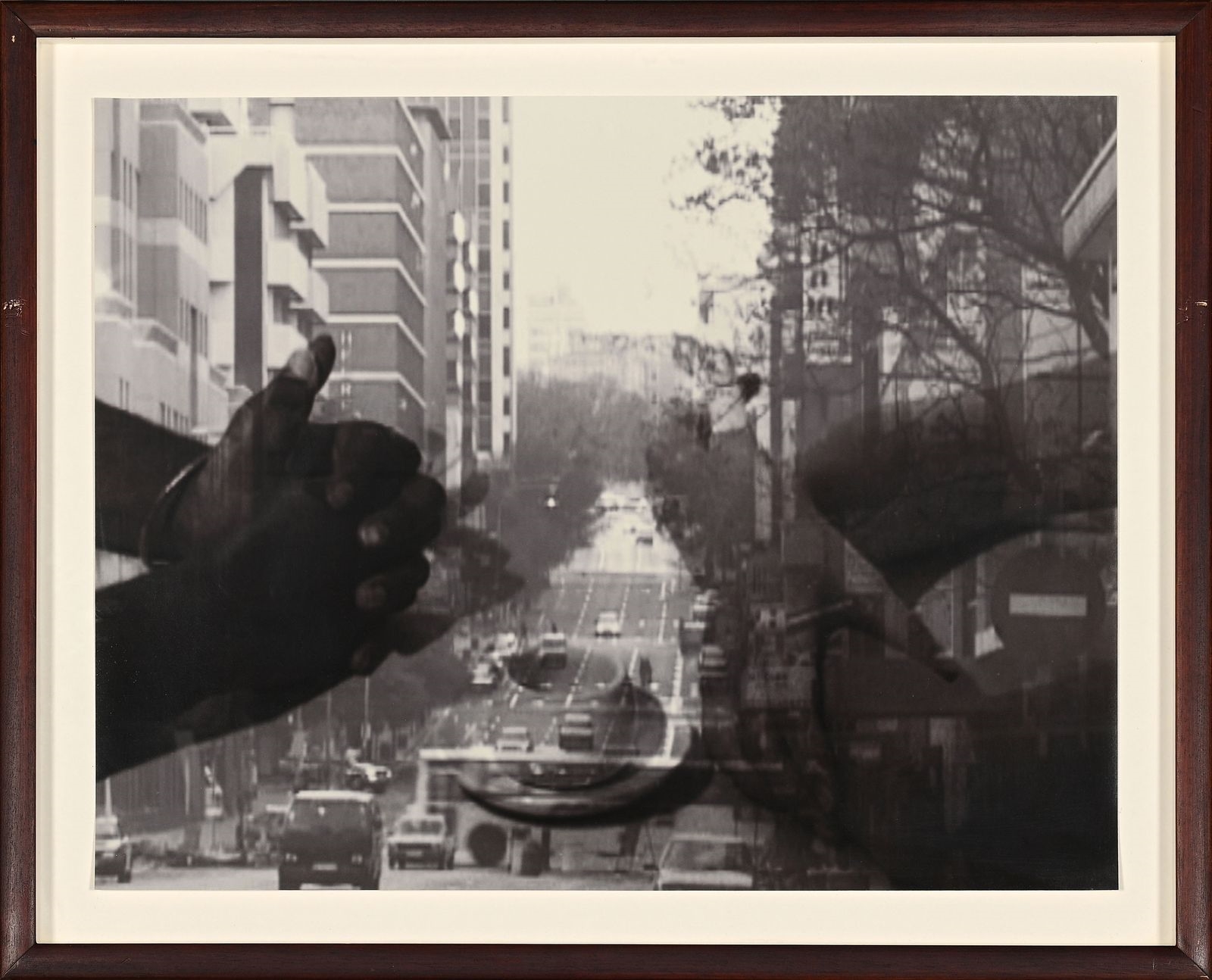 Theresa Collins | Animation Stills (20) | MutualArt