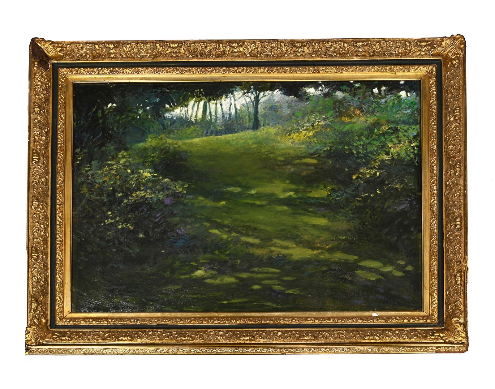 André van Vuuren | Forest Glade | MutualArt