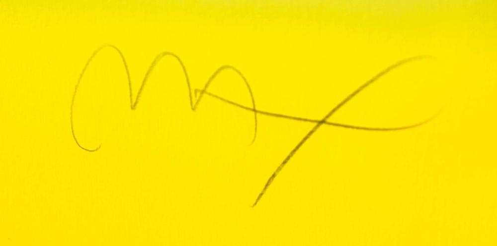 Peter Max | Cosmic Flyer on Blends | MutualArt