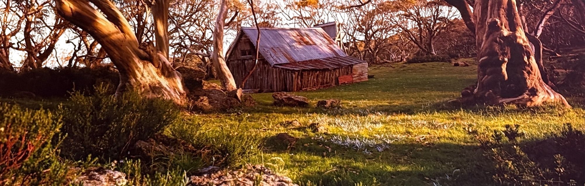 Peter Lik | Wallace Hut | MutualArt