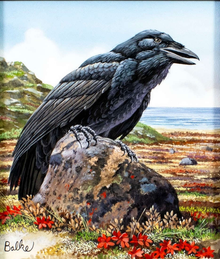 Don Balke | Common Raven Bird (2003) | MutualArt