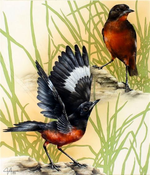 Alexei Isakov (russian, 20 Century) | Ethiopia - White-winged Cliff ...