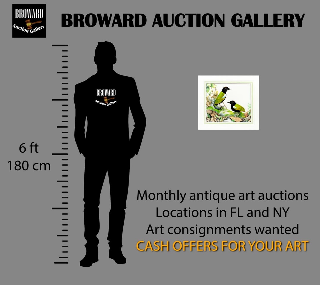 Kay Breeden Williams | Rainbow Pitta Bird | MutualArt