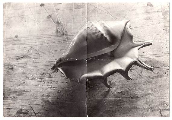 Jan Svoboda | SHELL (1962) | MutualArt