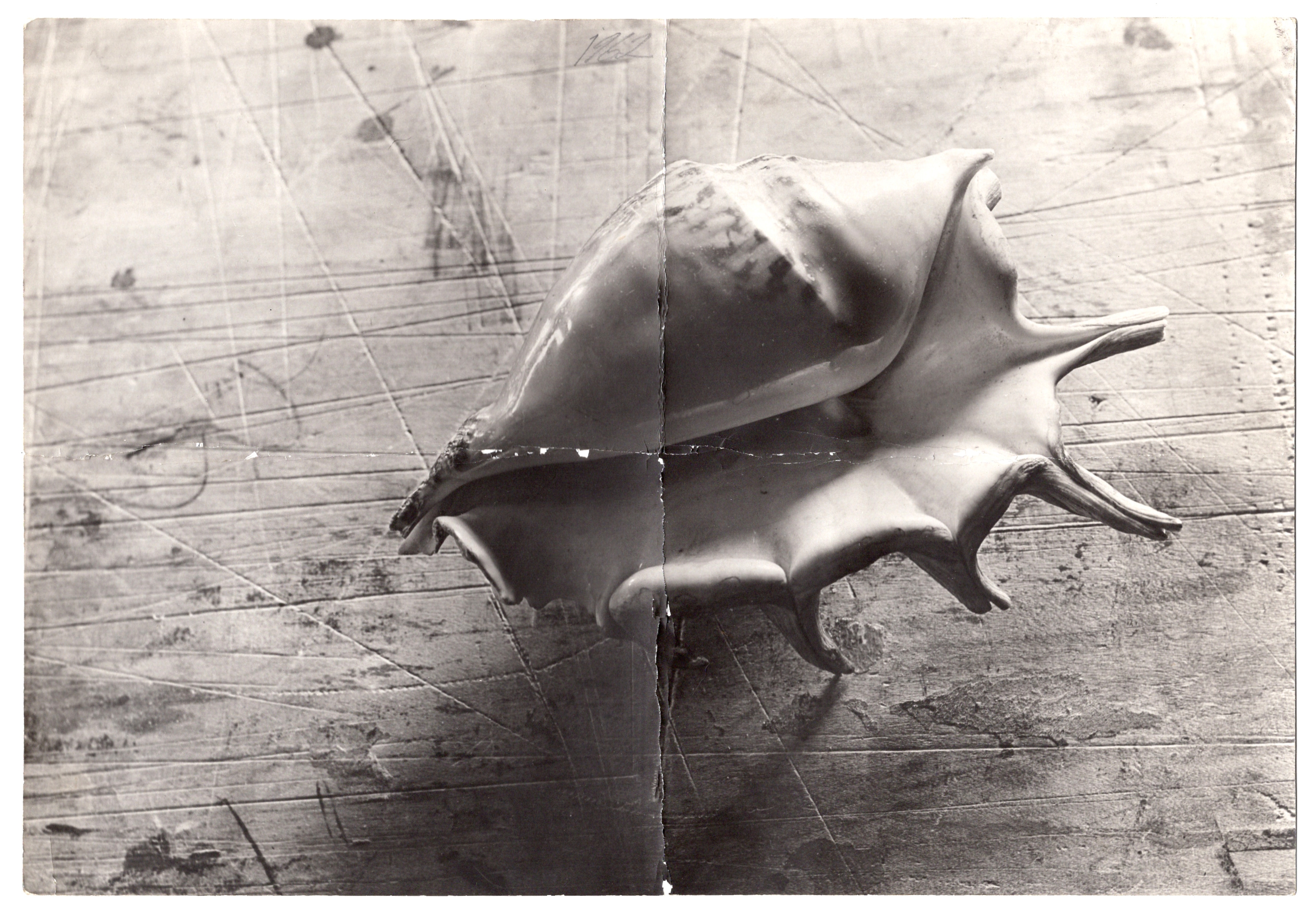Jan Svoboda | SHELL (1962) | MutualArt