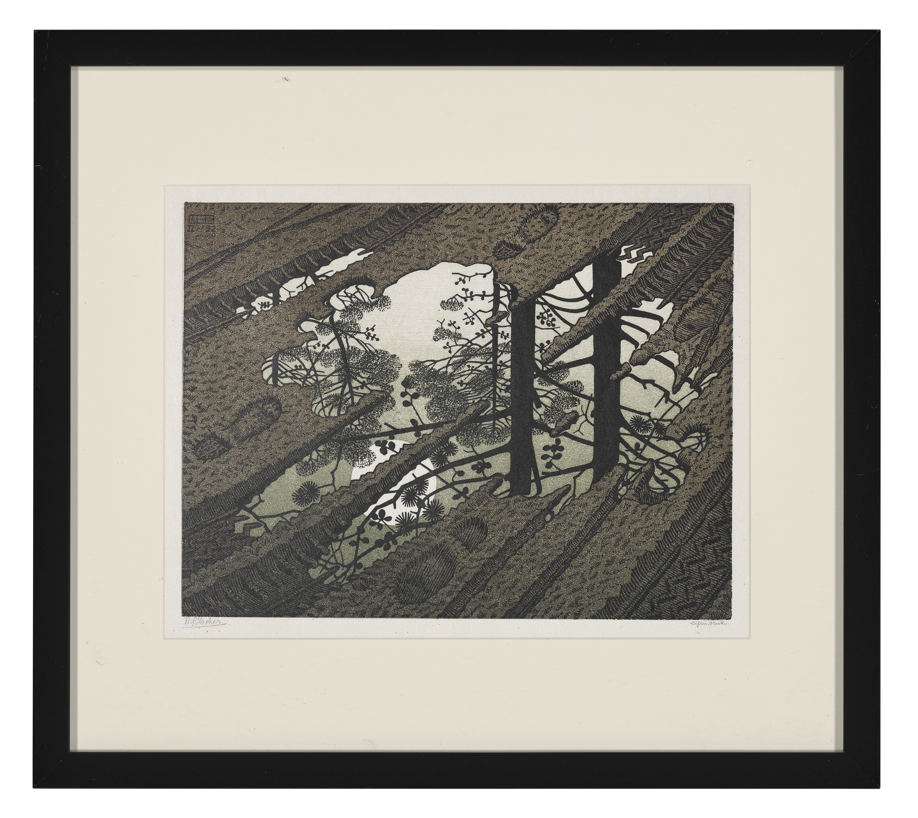 Maurits Cornelis Escher | Puddle (1952) | MutualArt