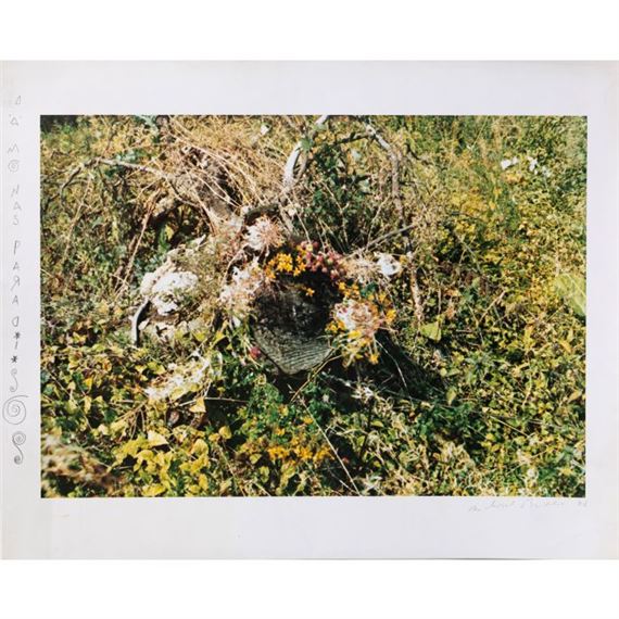 Michael Buthe | Monas Paradisio (1972) | MutualArt